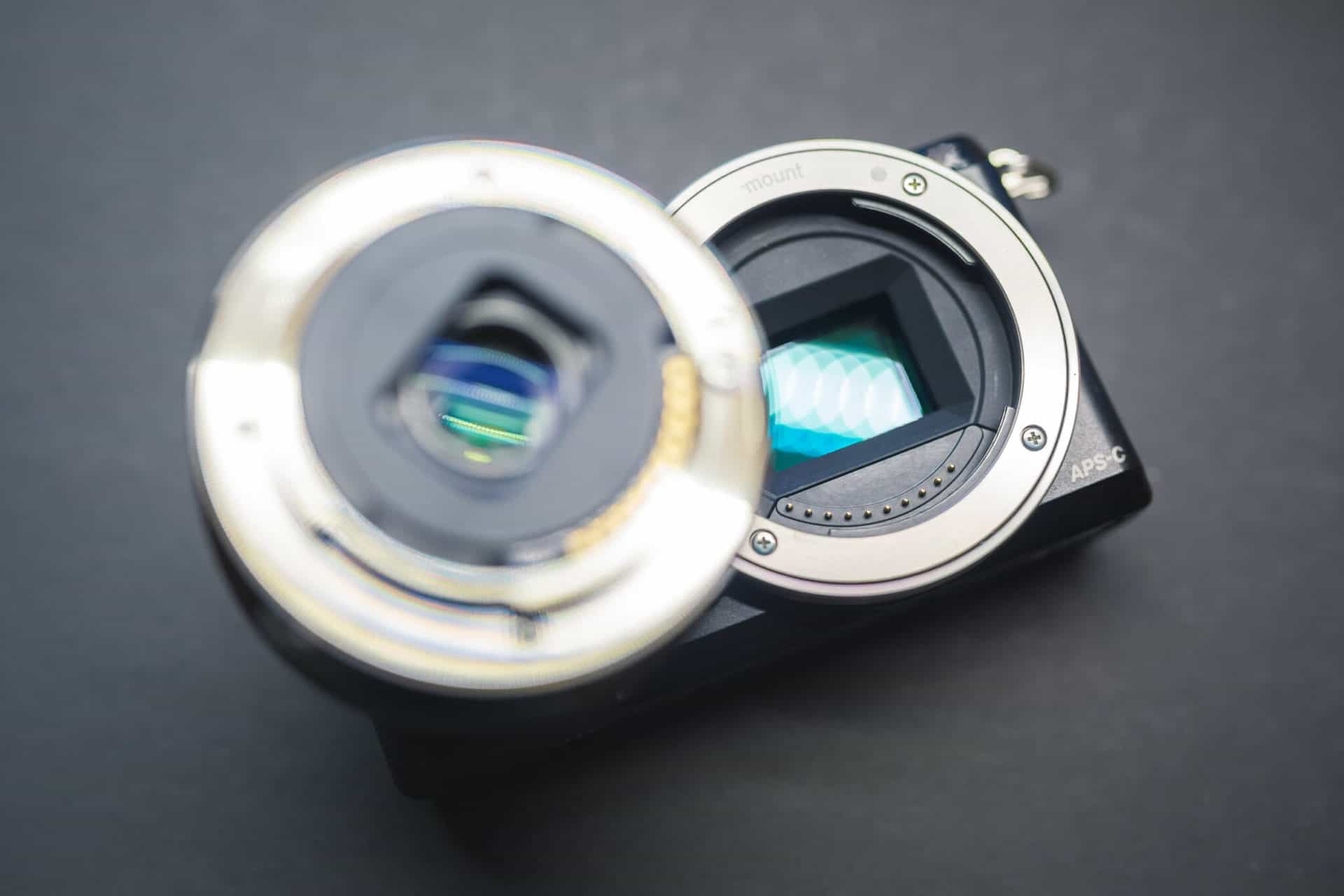 APS-C vs. Super 35: What’s the Difference? – YourPhotoAdvisor