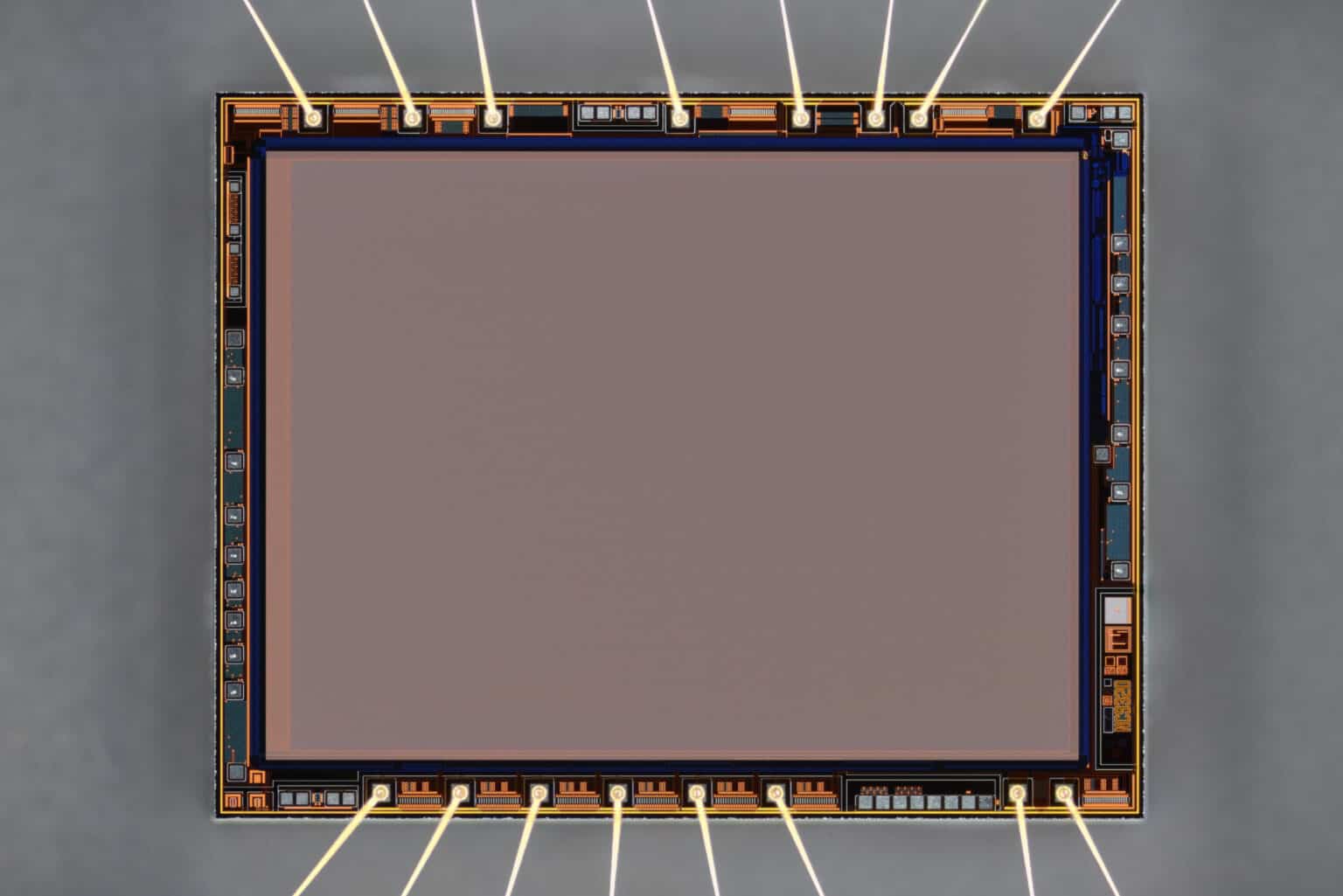 Do Bright Lights Damage Camera Sensors? - Your Photo Advisor